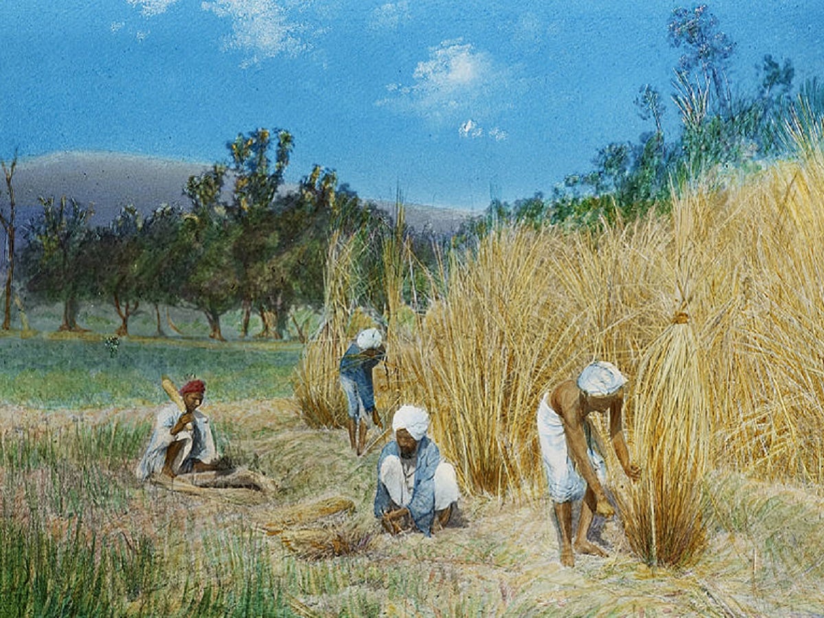 Bihar people in huge numbers work as labourers in Tamil Nadu and other ...