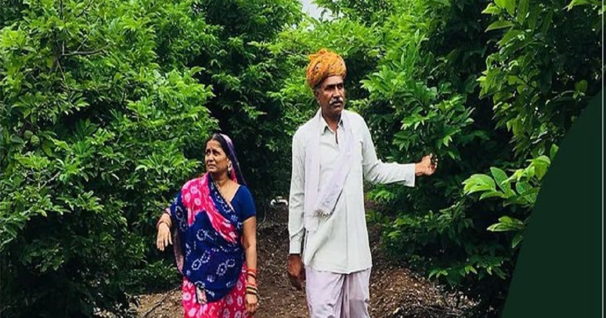 Success story mp barwani woman lalita mukati started farming leaving ...