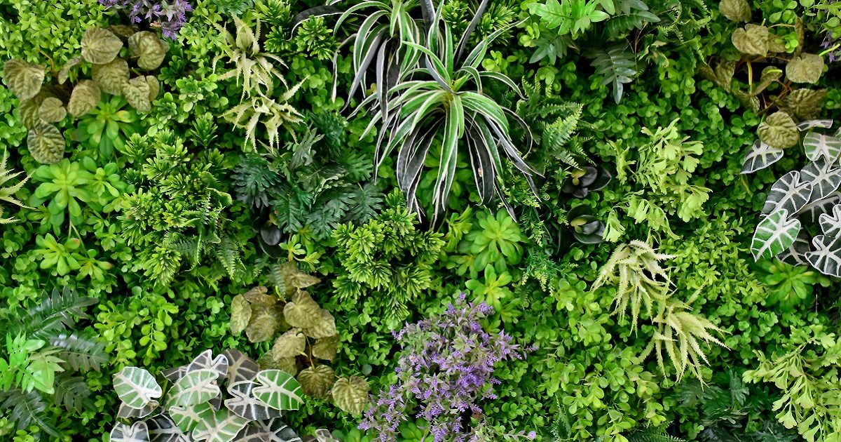 Plants scream out loud in Stress humans could never heard it until now ...