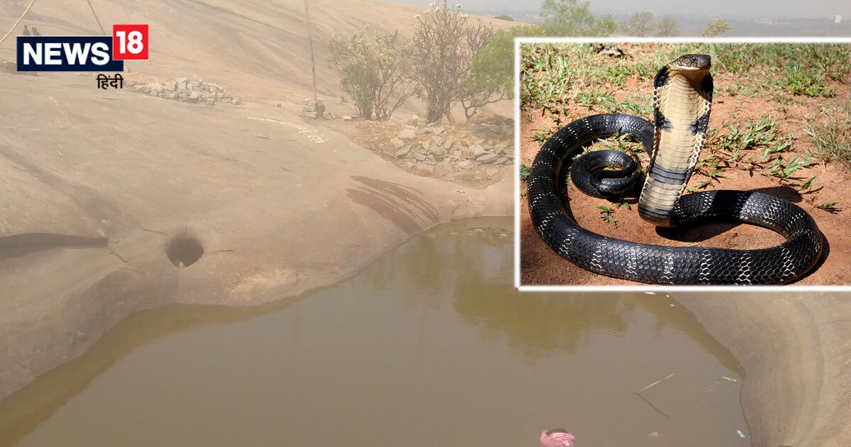 OMG: जानिए रांची में मौजूद 'नागों के तालाब' का इतिहास, श्रद्धालु करते ...