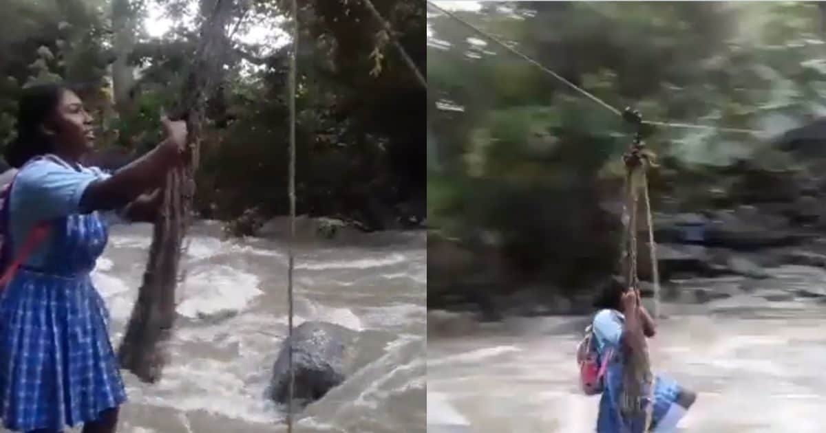 Crossing the Tej Dhar river risking life, children take danger every ...