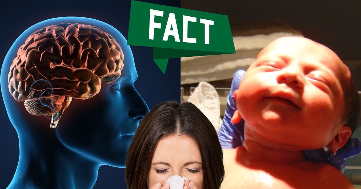 Weird facts about human beings woman give birth after death sneezing ...