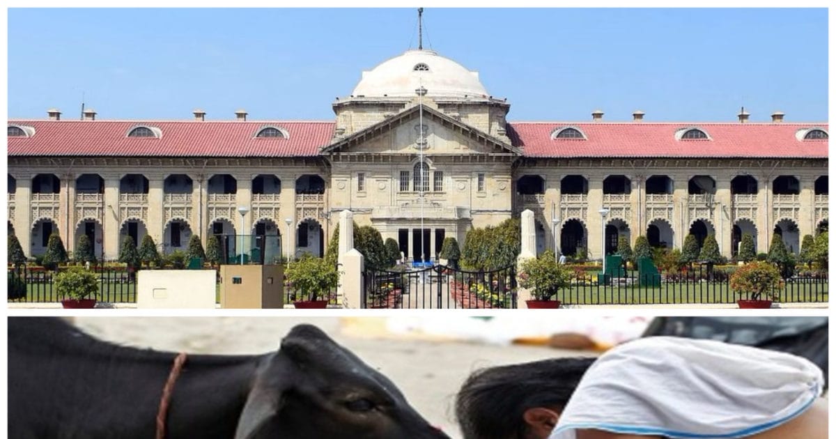 Allahabad high court said ban cow slaughter declare cow as national ...