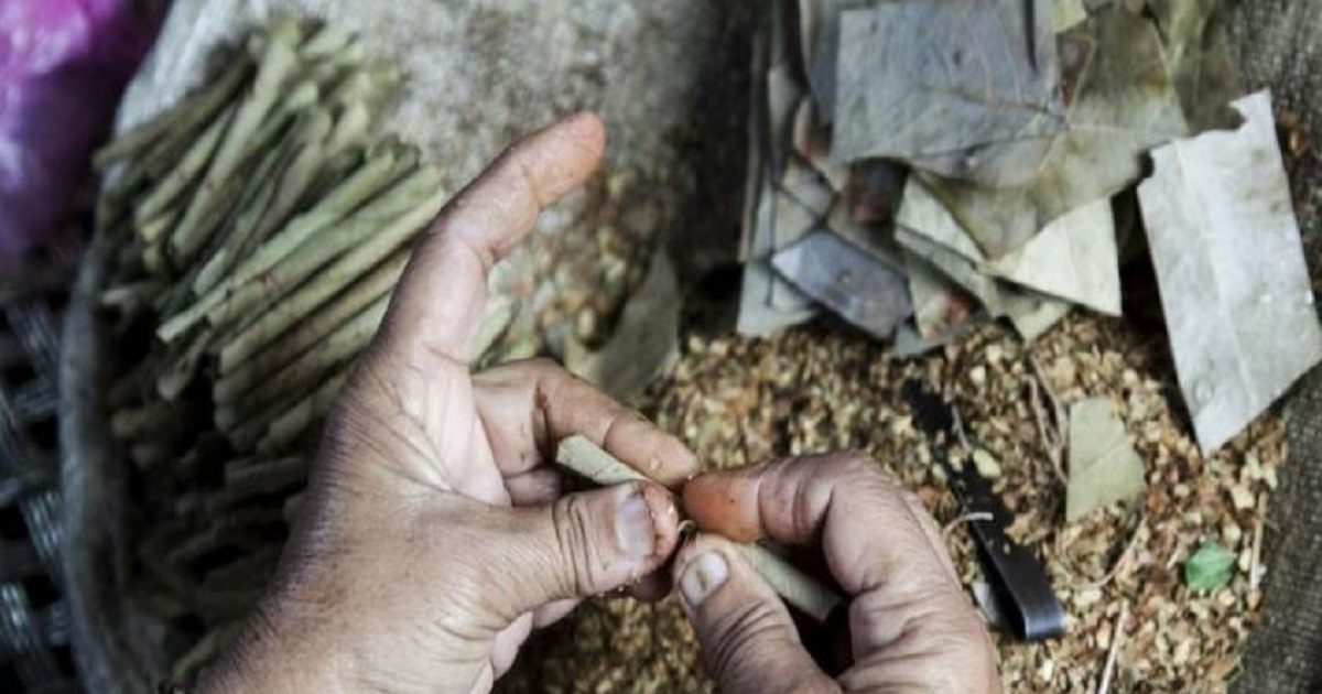 Do you know English name of beedi 90 percent failed to guess right ...