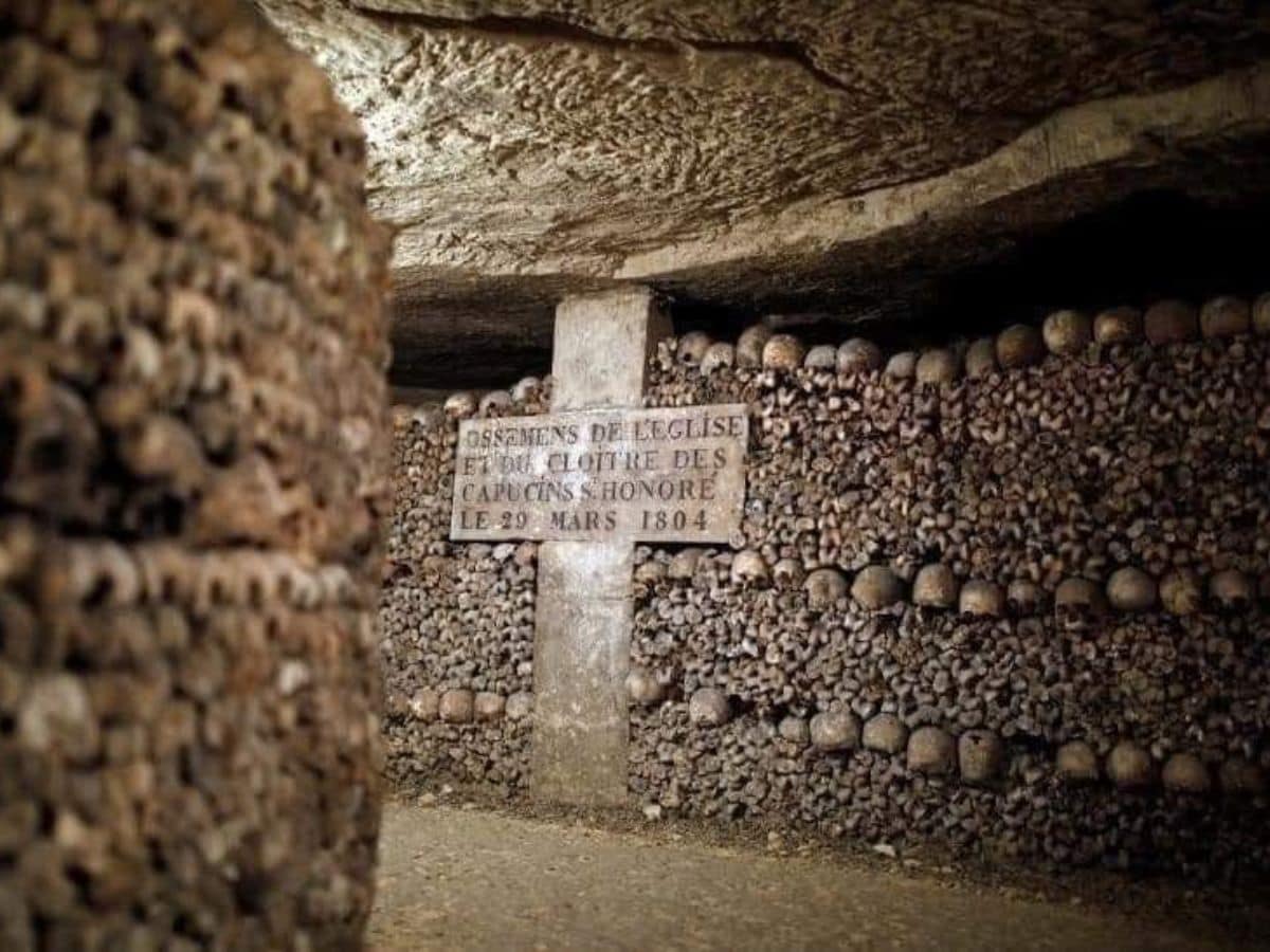 Human skeletons Under beautiful city catacombs of paris skeletons of 60 ...