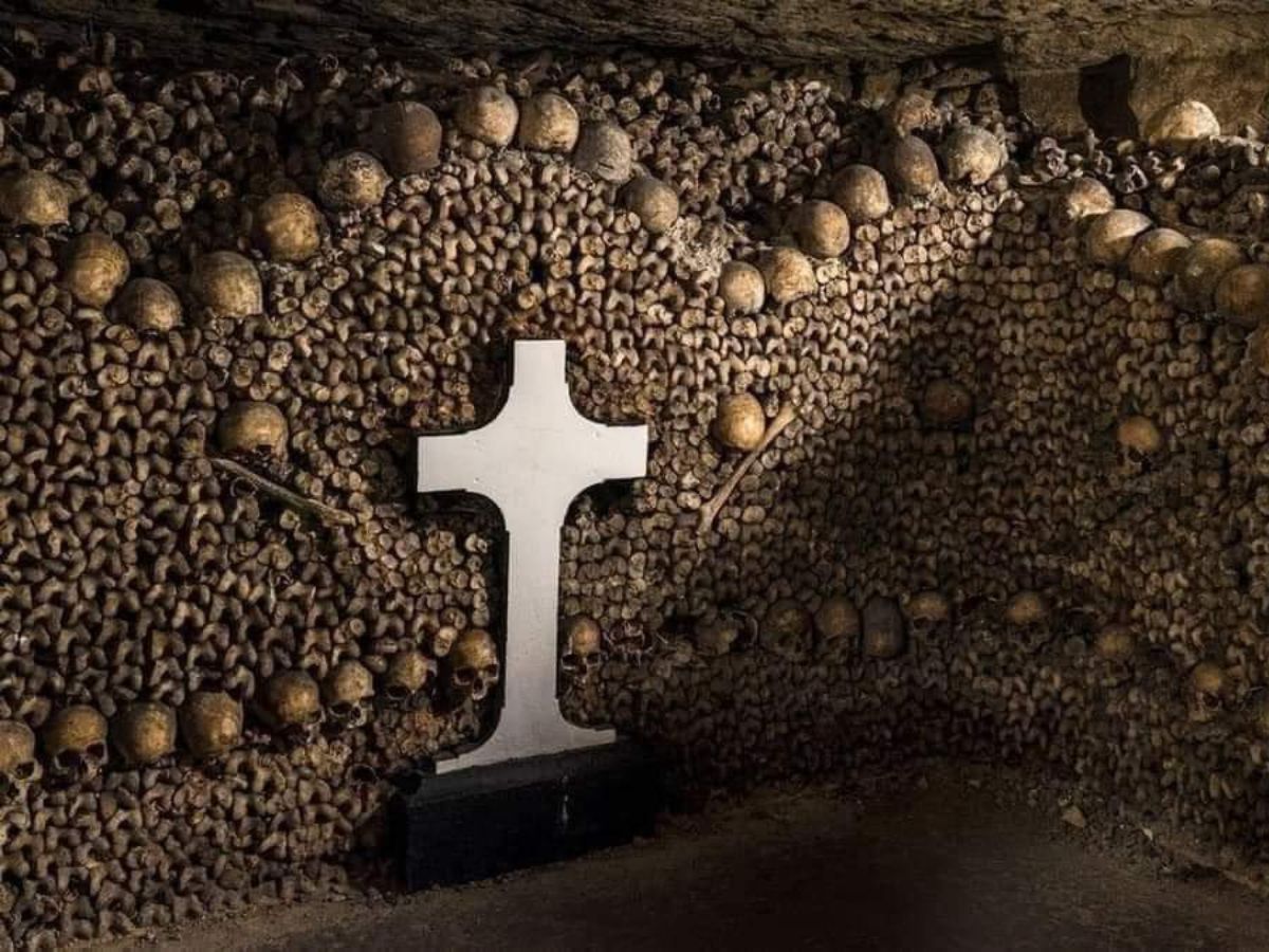 Human skeletons Under beautiful city catacombs of paris skeletons of 60 ...