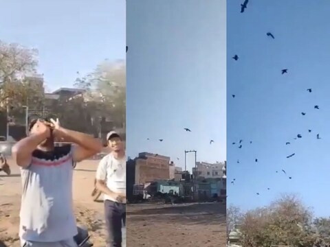 Man calls crows by making unique sound crow man of india video went ...