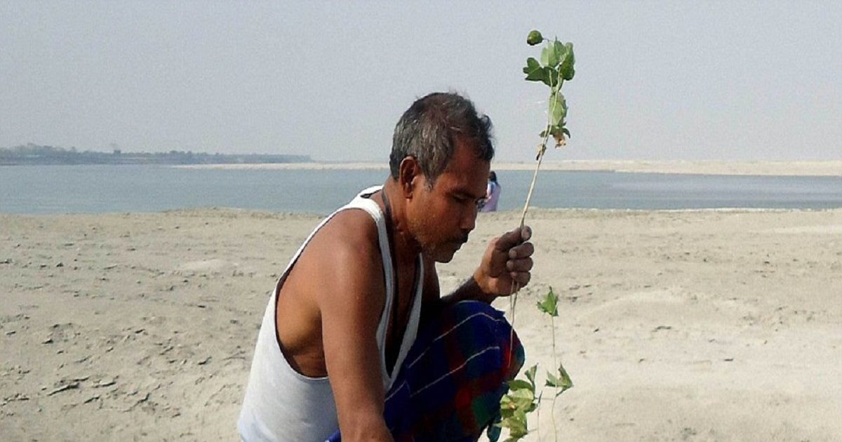 Forest man jadav payeng spent 40 years planting 1 tree everyday turns ...