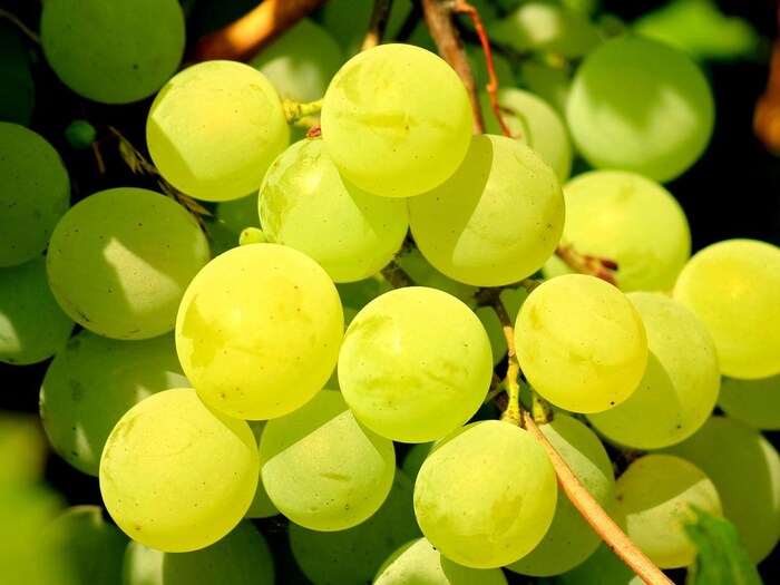 Grapes face pack for problem free and glowing skin how to get rid of ...