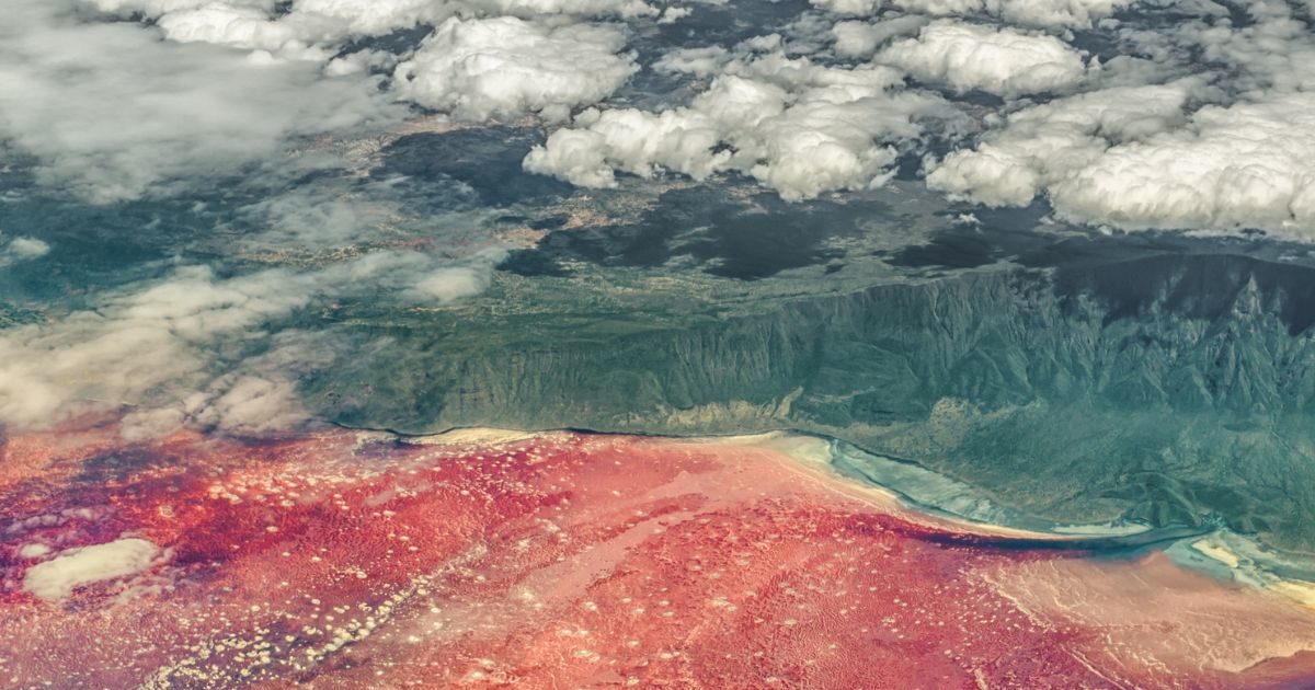 इस झील में जाते ही 'पत्थर' बन जाते हैं जानवर! खून की तरह लाल है रंग ...