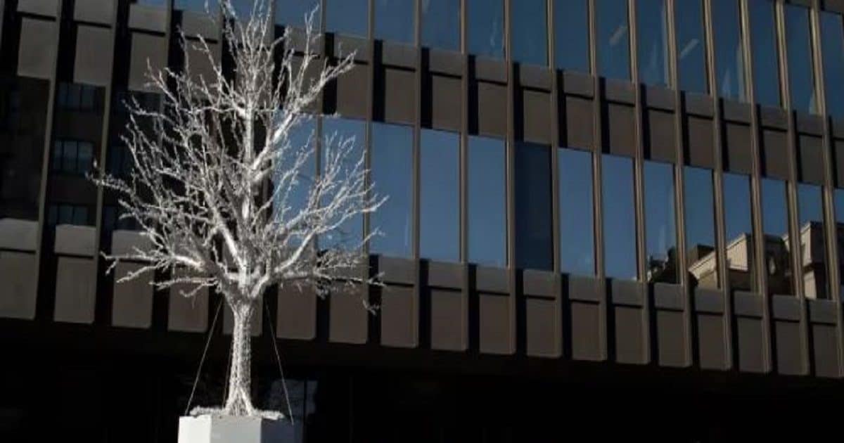 Canada judge rules showing middle finger is god given right cannot be ...