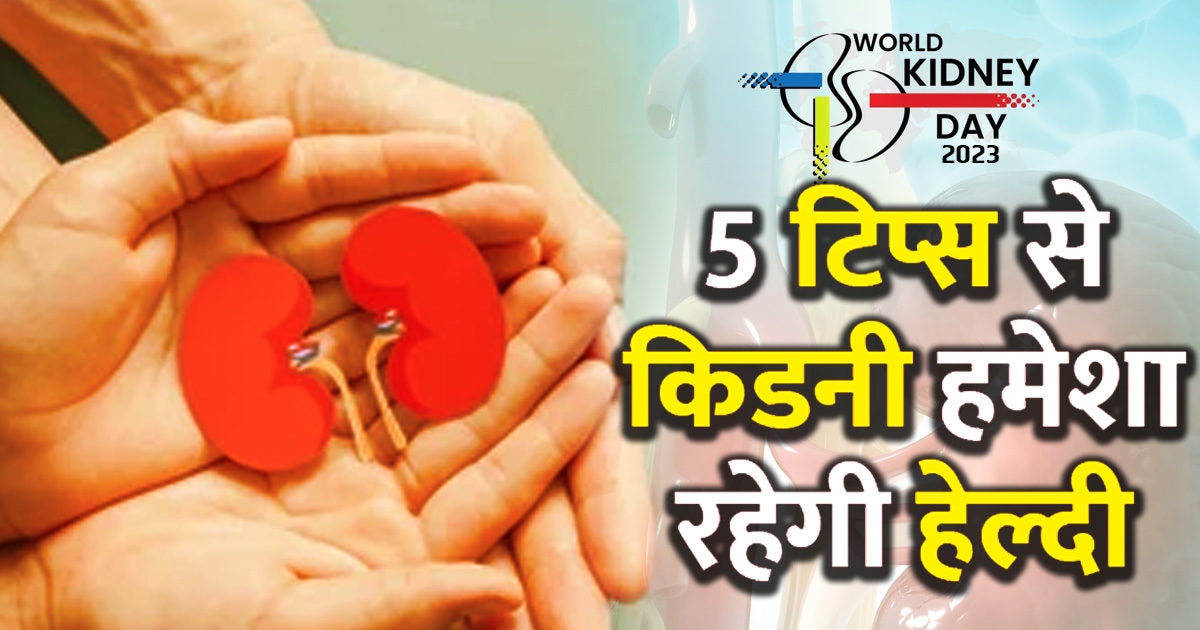 How To Keep Kidney Healthy Know Tips From Gangaram Hospital Urologist Amrendra Pathak World ...