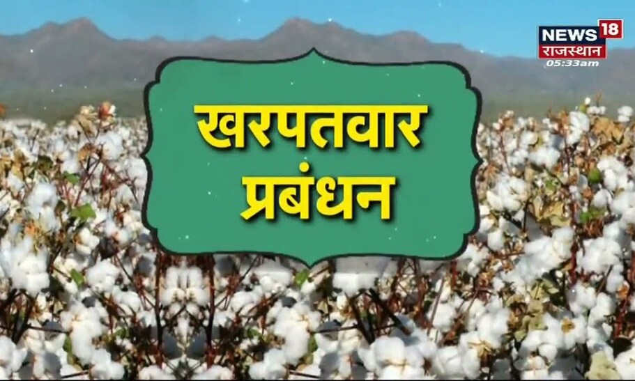 Annadata : देशी पास की उन्नत तकनीक से करें खेती, किसानों को होगा अच्छा ...