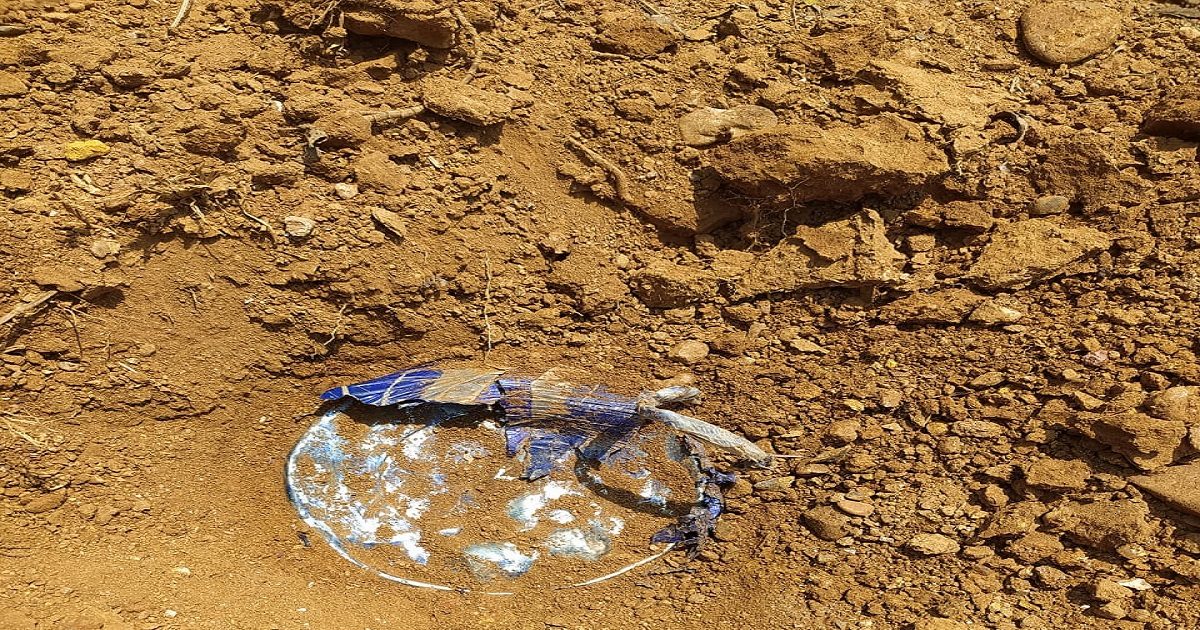 झारखंड: कोल्हान जंगल में IED ब्लास्ट में उड़े जानवर के चिथड़े, सर्च ...