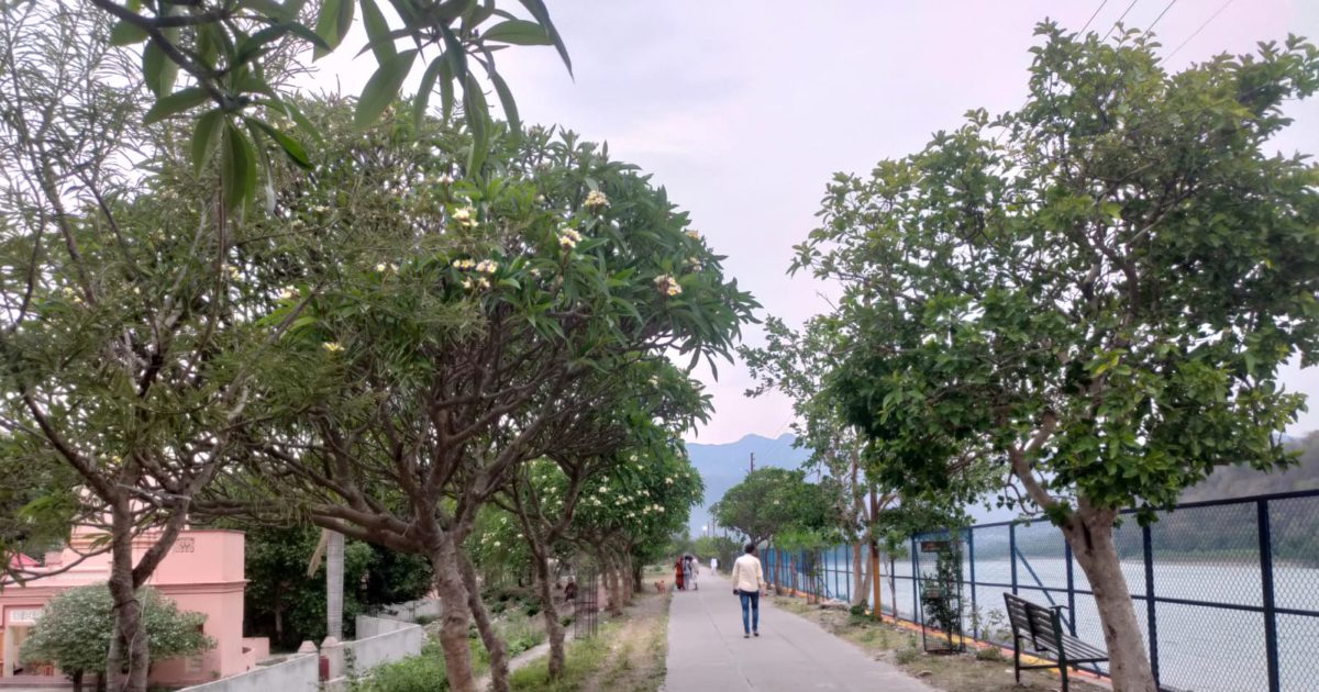 Rishikesh News : शहर के शोरगुल से है परेशान तो करें एकांत में बैराज लेक ...