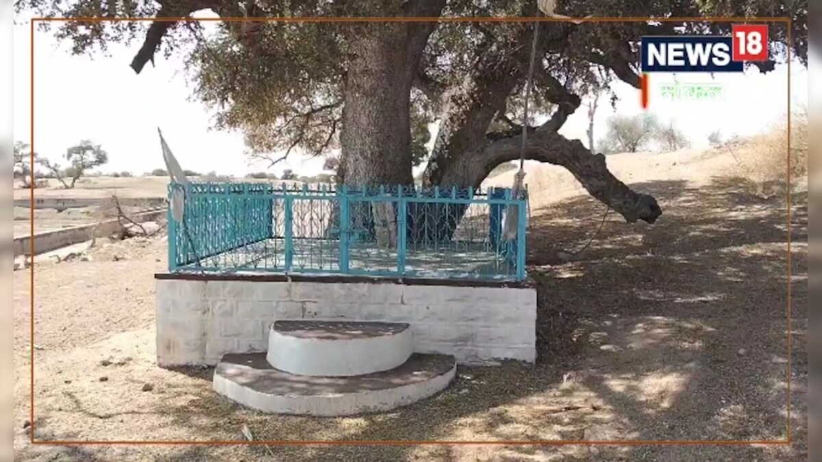 Nagaur News : गायों की रक्षा के लिए इस शूरवीर ने कटवा दिया था अपना शीश ...