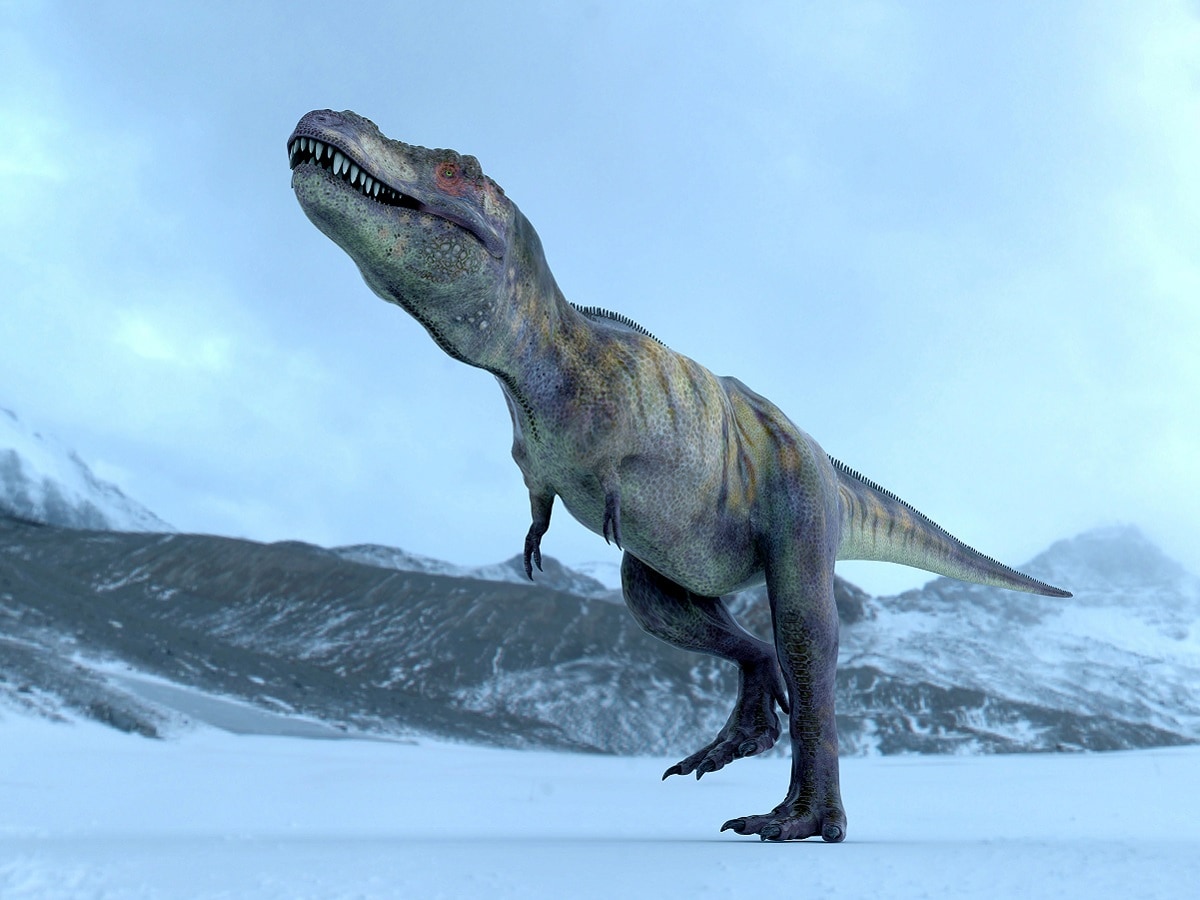 Dinosaur Tyrannosaurus Rex had lips like a lizard, Scientists reveal ...