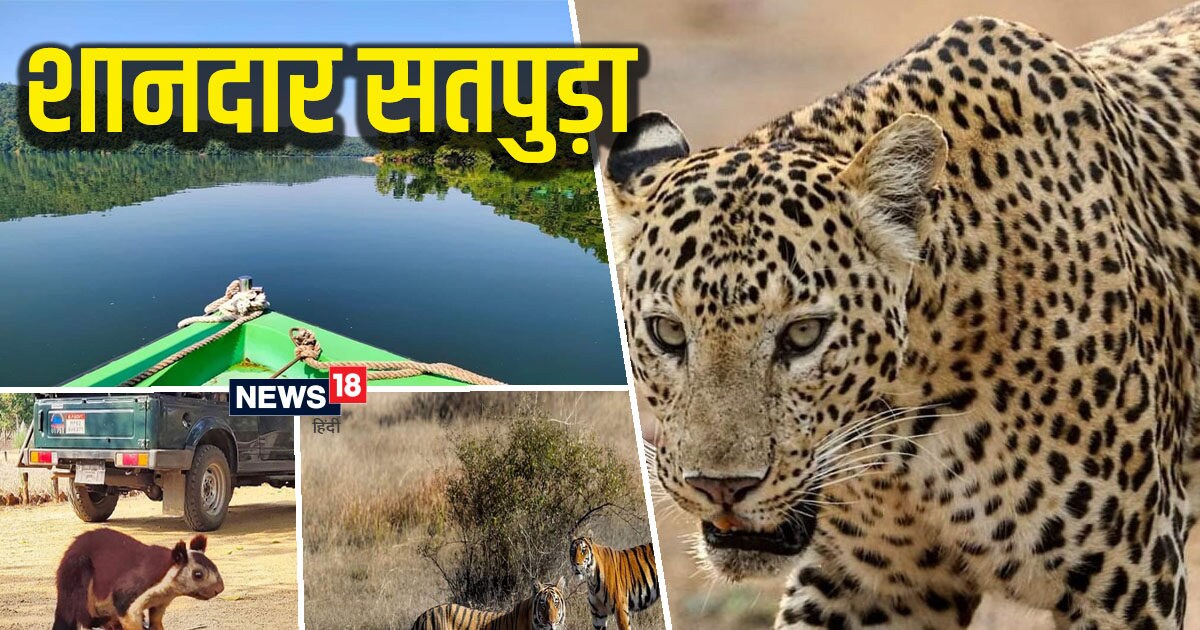 सतपुड़ा टाइगर रिजर्व: गर्मी की छुट्टियों के लिए ये है एमपी का नया ‘कूल ...