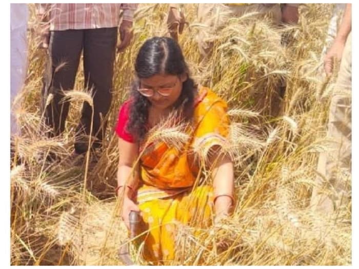 Success Story: वायरल हुई इस IAS की फोटो, खेत में पहुंची तो चौंके किसान ...