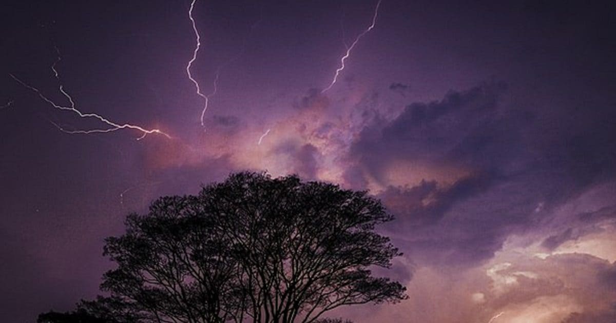 Earth Lightning strike creates a material seen for the first time ever ...