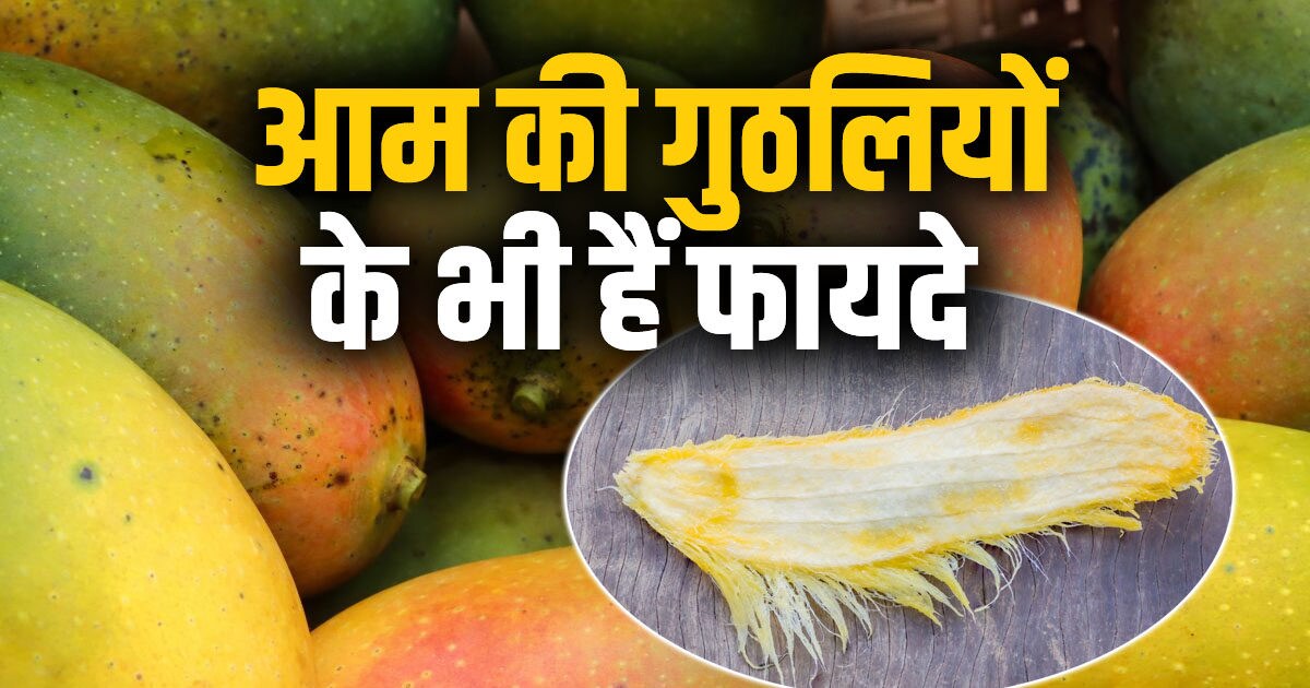 आम ही नहीं, इसकी गुठलियों में भी भरा है पोषण, फेकने से पहले एक बार जरूर ...