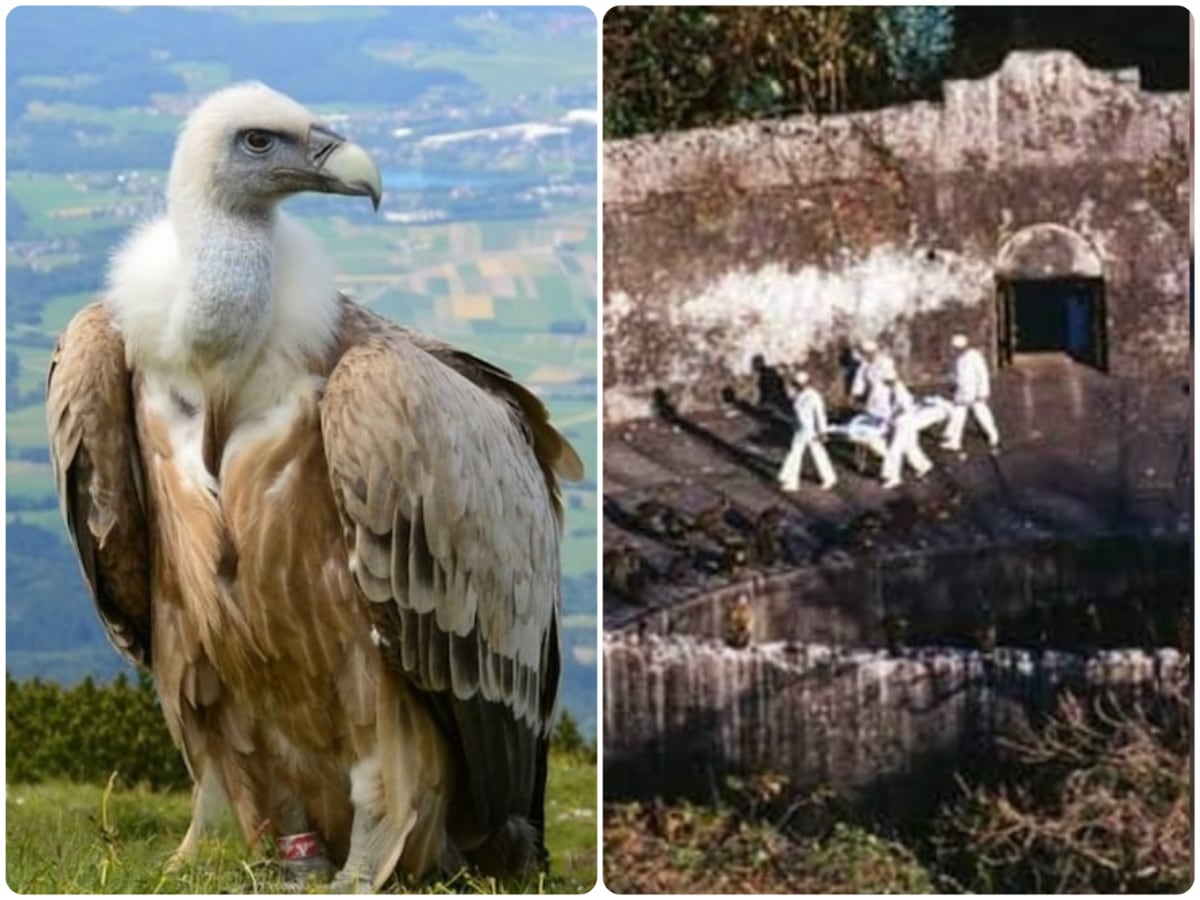 पारसी संतों का अंतिम संस्कार कैसे होता है, जलाने-दफनाने से क्‍यों है ...