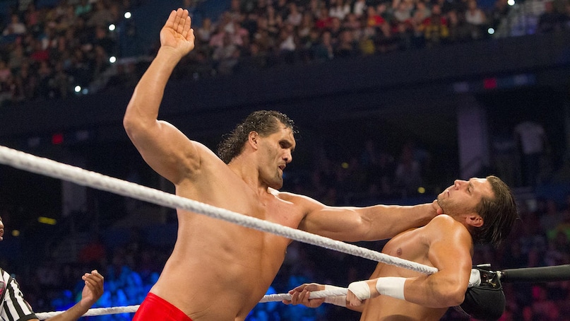 The great khali earning net worth is approx 6 million dollar left wwe ...