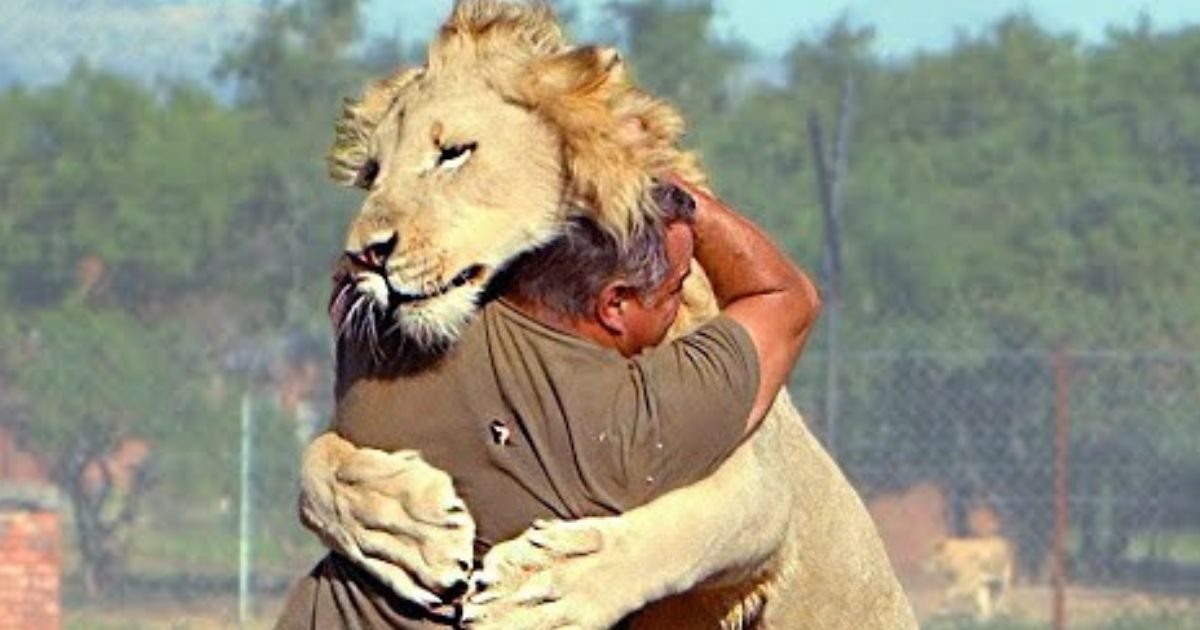 जब सालों बाद मालिक से मिले जानवर, कोई लगा गले तो किसी ने गोद में चढ़ कर ...