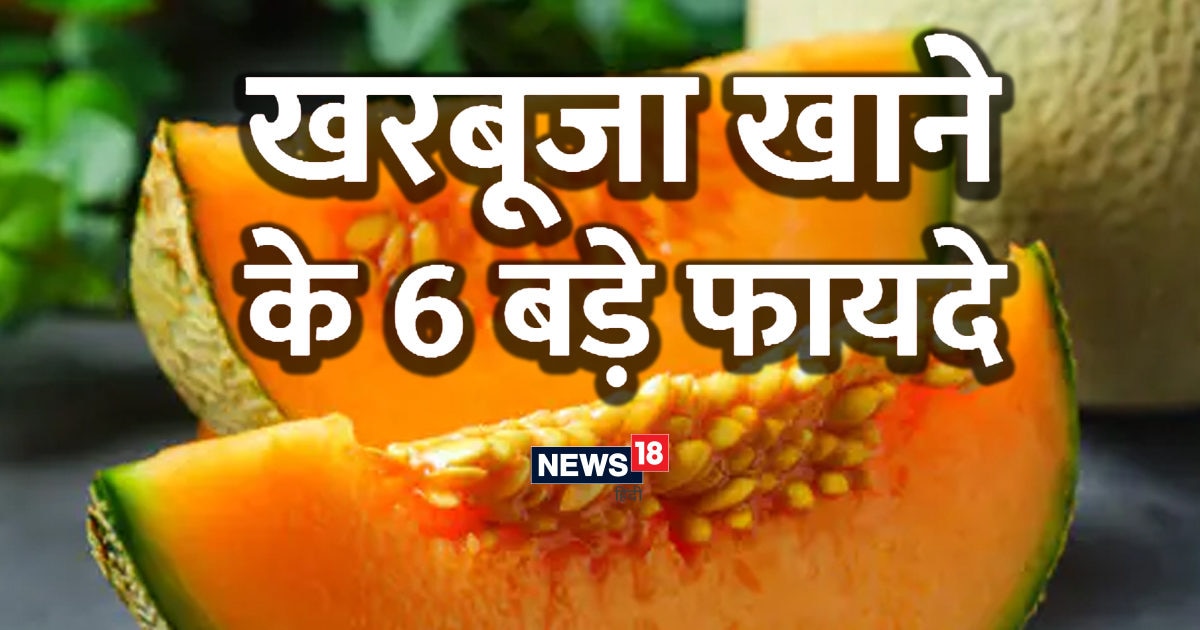 गर्मियों में जरूर खाएं खरबूजा, इम्यूनिटी को करें बूस्ट, 6 फायदे जानकर ...