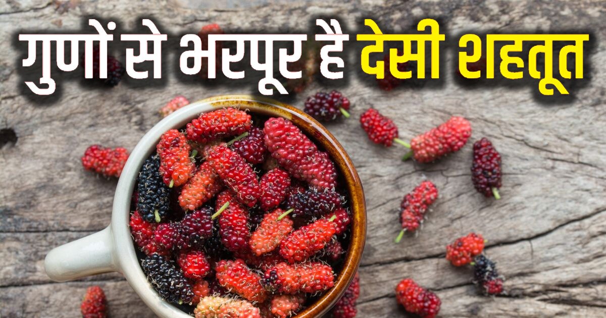 डायबिटीज है तो खाएं देसी शहतूत, औषधीय गुणों से है भरपूर, 3 खतरनाक ...