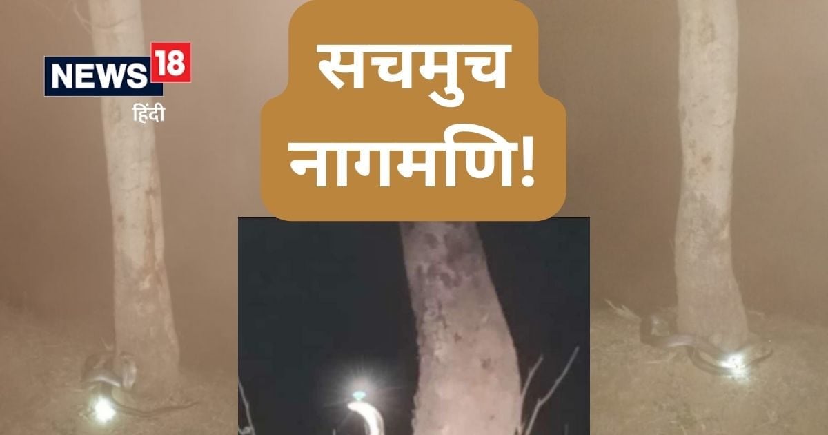 Viral Photo: क्या आपने देखी है नागमणि? बड़ा दिलचस्प है इन वायरल ...