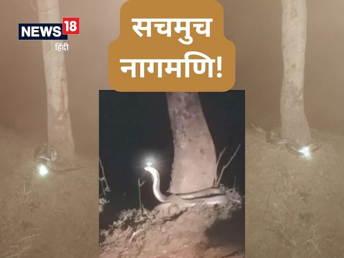 Viral Photo: क्या आपने देखी है नागमणि? बड़ा दिलचस्प है इन वायरल ...