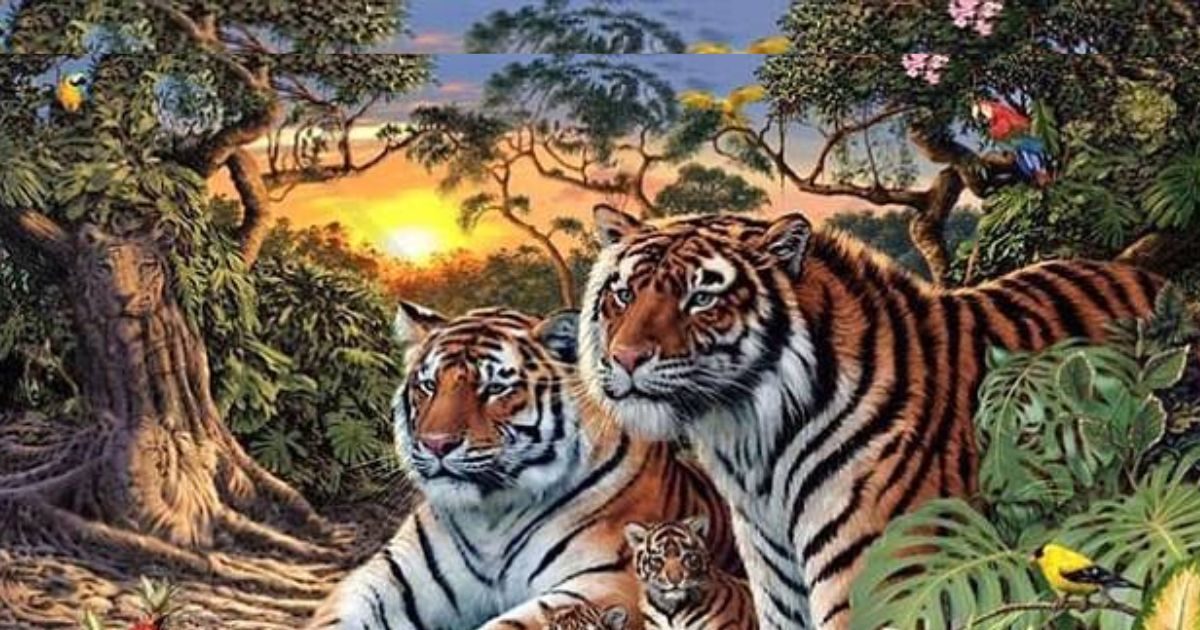तस्वीर में दिख रहे हैं कितने टाइगर? 20 सेकंड में गिनकर बताइए संख्या, 99 ...