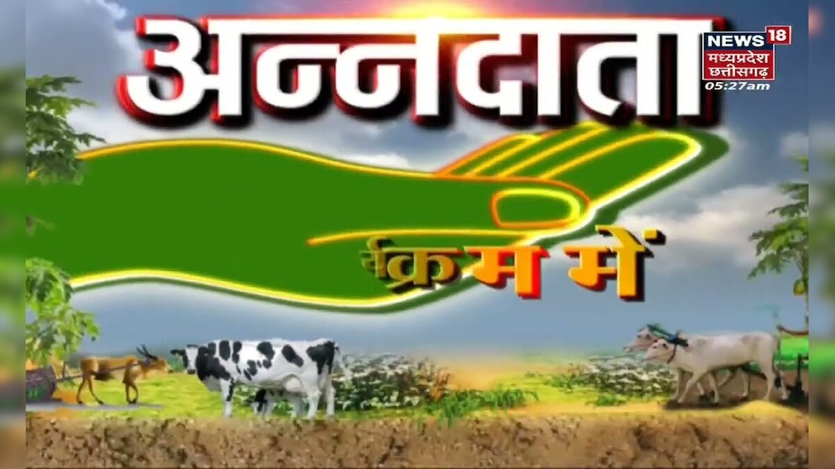 Annadata : जानिए अपने पशुओं को रोग से कैसे बचाऐं? अधिक दूध कैसे पाएं ...
