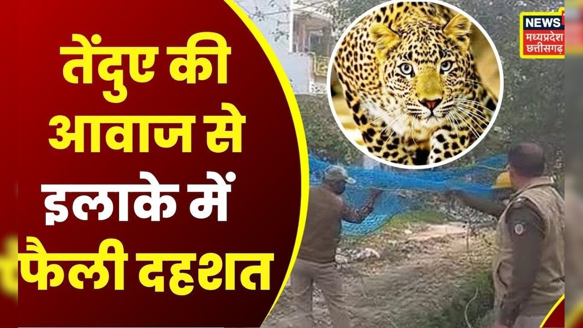 Neemuch News : 50 Feet गहरे कुएं में गिरा तेंदुआ, तेंदुए की आवाज से ...