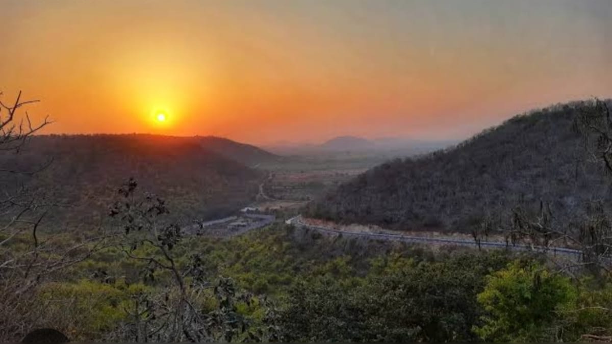 Chitrakoot News : देवांगना के जंगलों में जंगली जड़ी बूटियों का भंडार ...