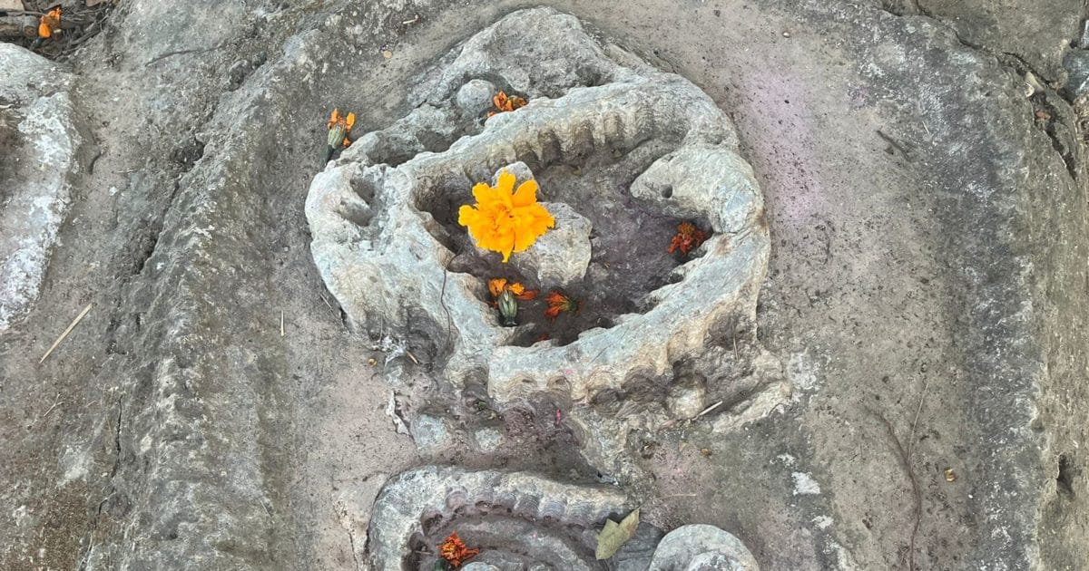 The history of Chhapi village is related to Mahabharata, Pandavas had ...