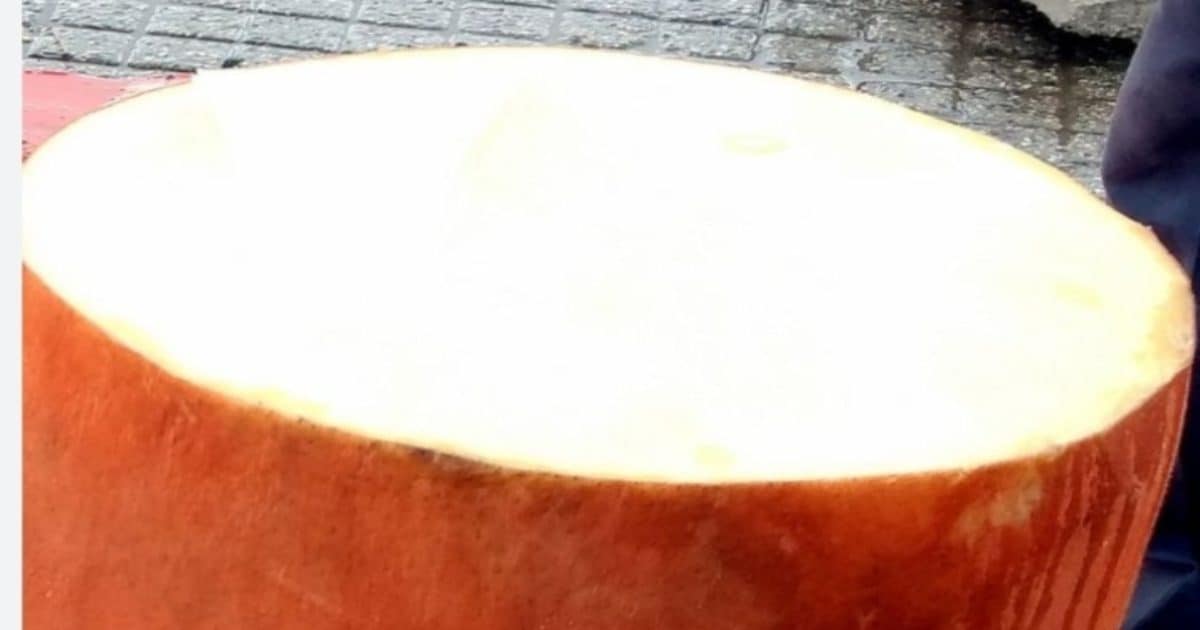 Chitrakoot News: भगवान राम ने इस फल को खा कर गुजारे थे साढ़े 11 साल ...