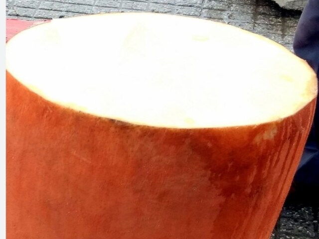 Chitrakoot News: भगवान राम ने इस फल को खा कर गुजारे थे साढ़े 11 साल ...