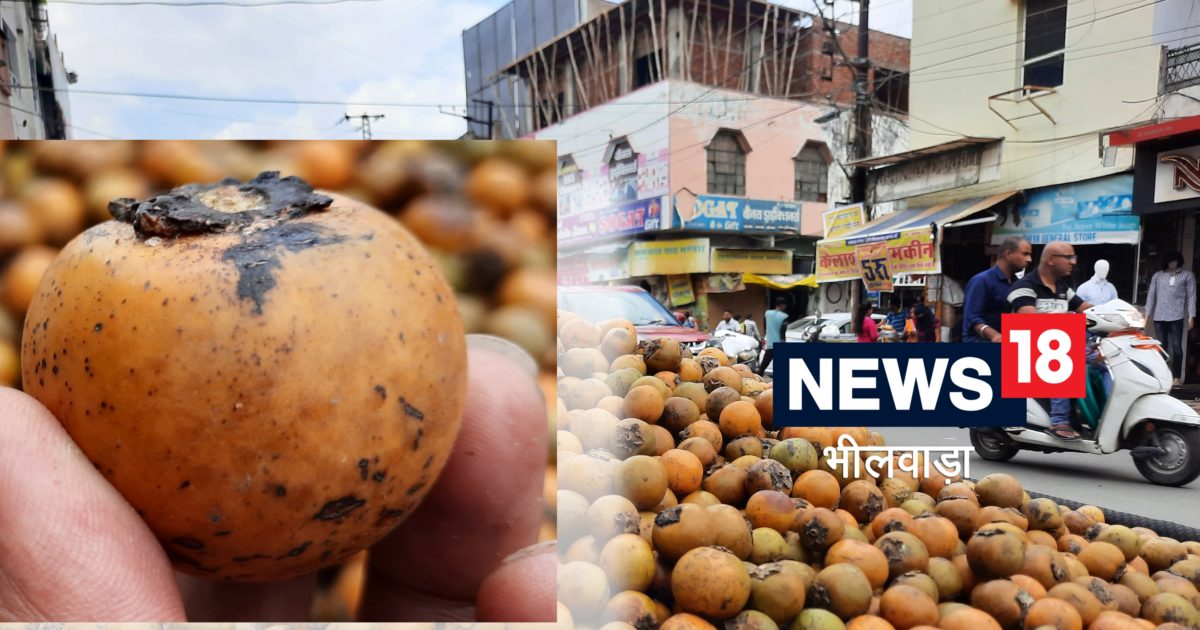 जंगलों से बाजार में केवल 10 दिन बिकने आता है यह दुर्लभ फल, कई बीमारियों ...