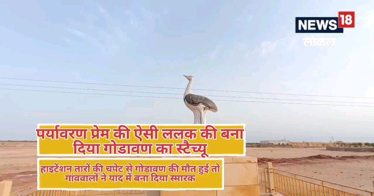 यहां इस पक्षी की याद में बना दिया विश्व का पहला स्टैच्यू, हाइटेंशन तार ...