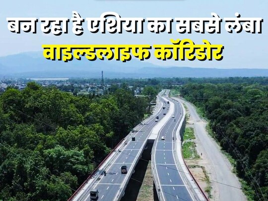 asia's longest wildlife corridor to become on Delhi dehradun expressway in uttarakhand from ...