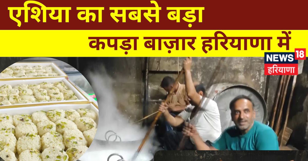 Hansi Peda: इन पेड़ों ने दिलाई हांसी को...दुनिया में पहचान, स्वाद के ...