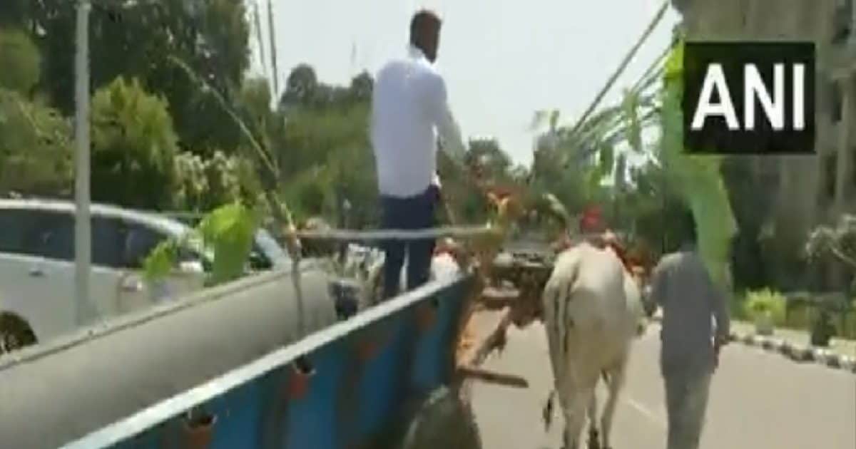 VIDEO: कर्नाटक की 16वीं विधानसभा का पहला सत्र, बैलगाड़ी से पहुंचे ...