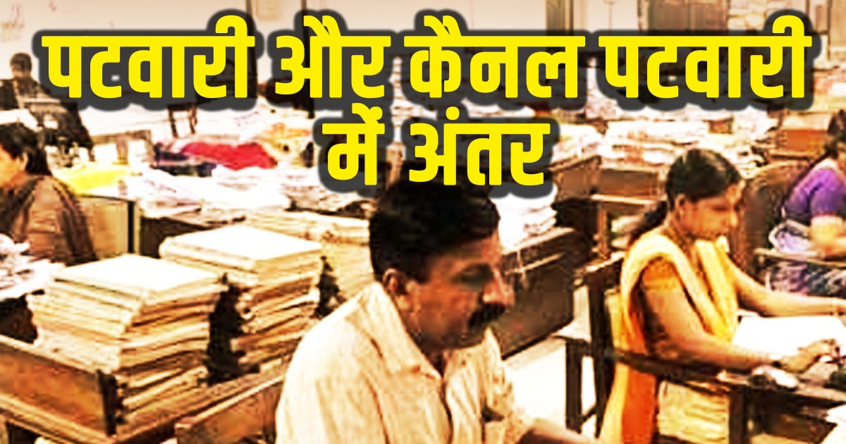 Patwari Vs Canal Patwari: पटवारी और कैनल पटवारी में क्या होता है अंतर ...
