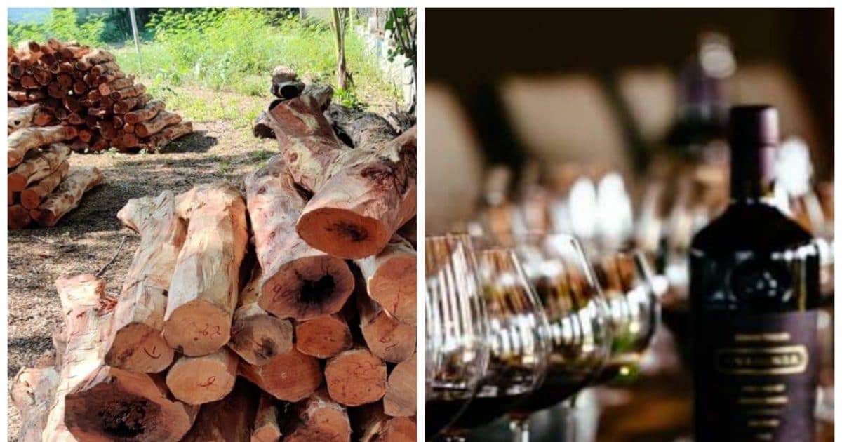 अब लकड़ी से भी बनाया जा रहा अल्‍कोहल, कैसे हुआ संभव, किसने की खोज - Now ...