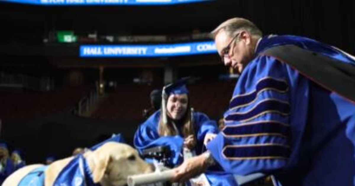 कुत्ते को मिली मानद डिप्लोमा की उपाधि, वजह जानकर हो जाएंगे गदगद, वायरल ...