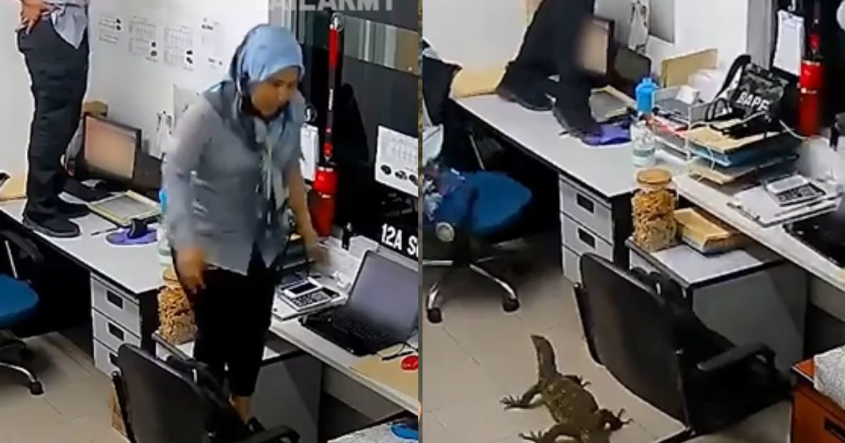 Funny Video: ऑफिस में घुसी छिपकली, खराब हुई स्टाफ की हालत, कुर्सी पर चढ़े नज़र आए! - Funny video ...