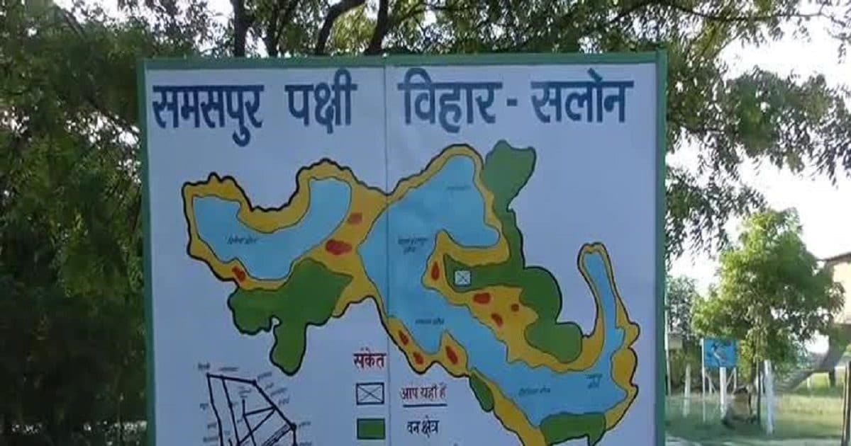 समसपुर पक्षी विहार को आधुनिक पर्यटन स्थल के रूप में किया जाएगा विकसित ...