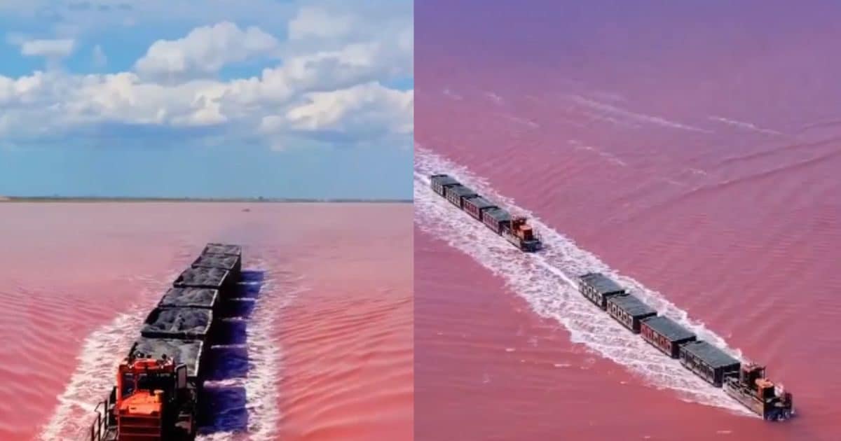 Viral Video: पानी में चली ट्रेन, लाल झील के बीच से गुजरी! नकली लगने ...